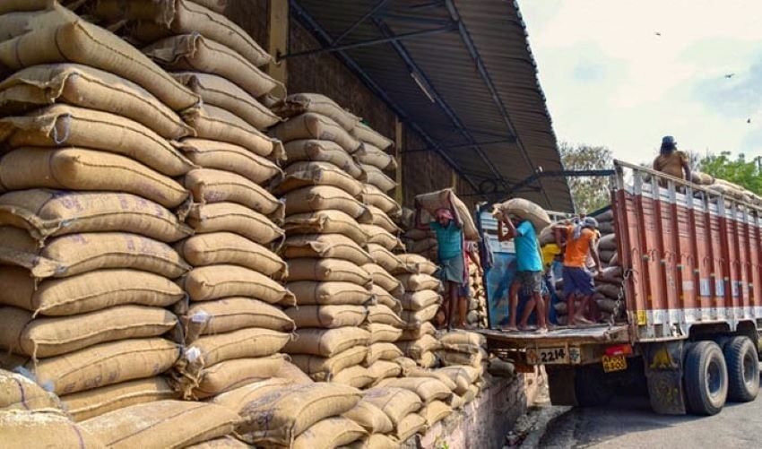 Agri Exports Grow By 12.6% in First 3 Quarters to Reach Record USD 20 ...