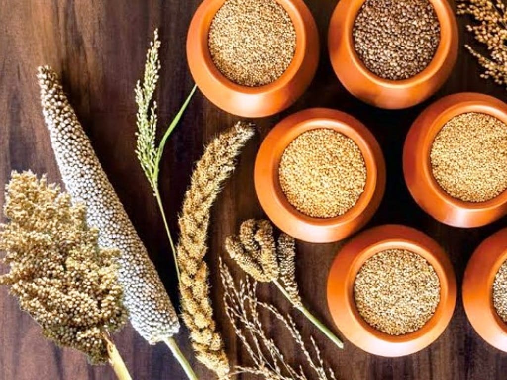 Odisha Millet Mission: Reviving Traditional Crops and Diets