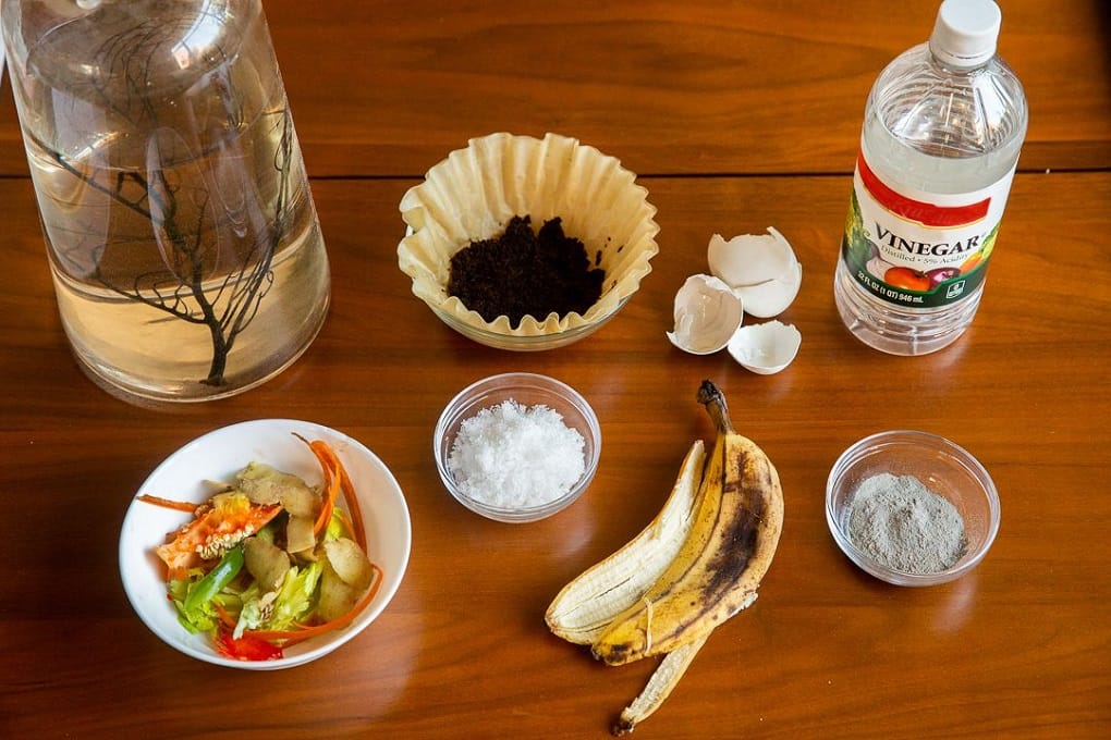 3 Unique & Easy Fertilizers You Can Make at home