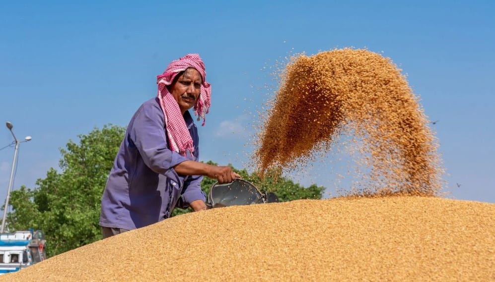 FCI Provides 11.72 LMT Wheat Through 620 Depots Across Country in 3rd E ...
