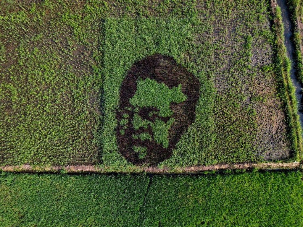 Kerala Farmer Promotes Medicinal Rice Varieties with Unique Tambo Artwork