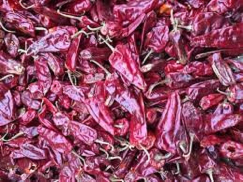 All You Must Know About Telangana’s Chapata Chilli