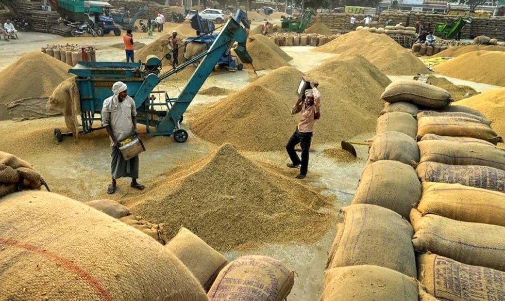Paddy Procurement Exceeds 700 LMT; Over 96 lakh Farmers Benefitted