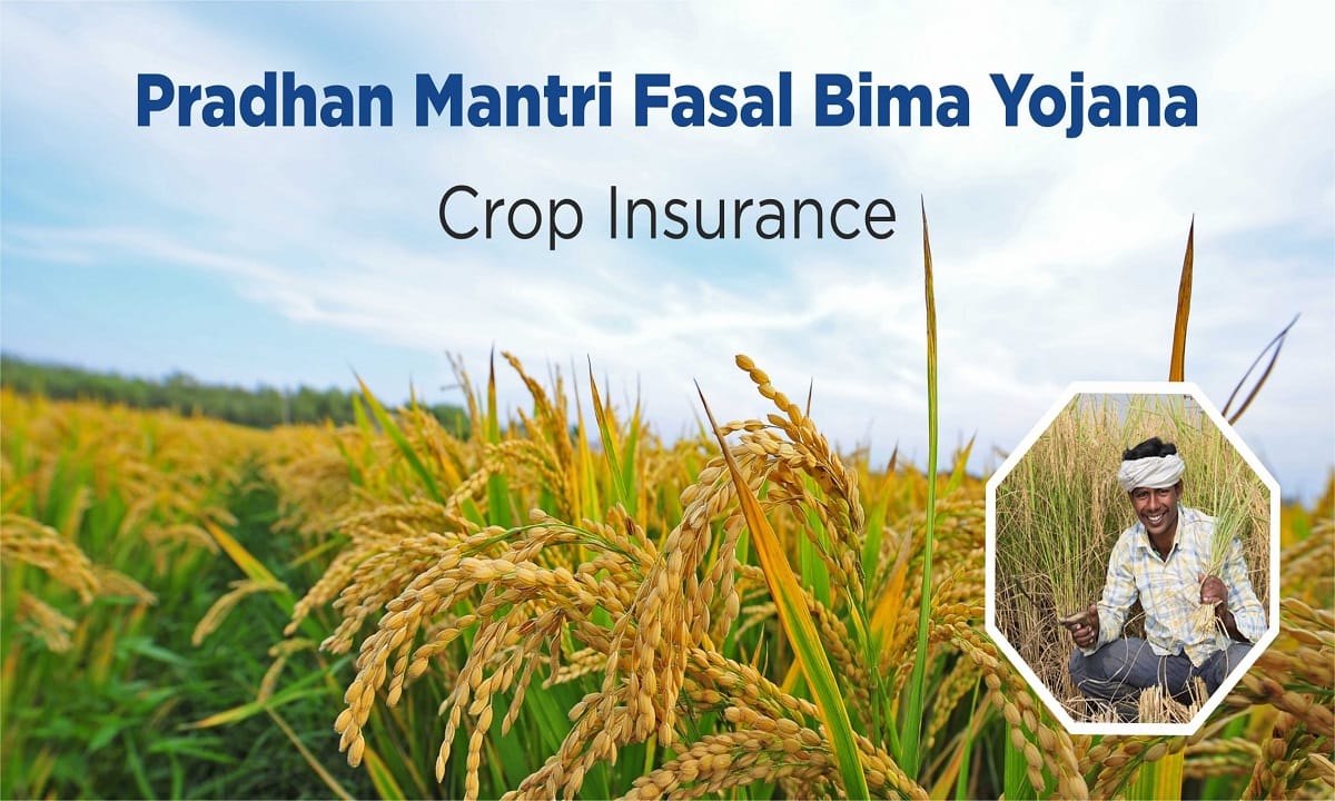Avail Benefits of PMFBY Insurance Scheme Covering Major Crops: J&K LG ...