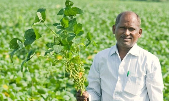 Latur's Major Crop-Soybean Helps Farmers to Protect Their Crops from ...