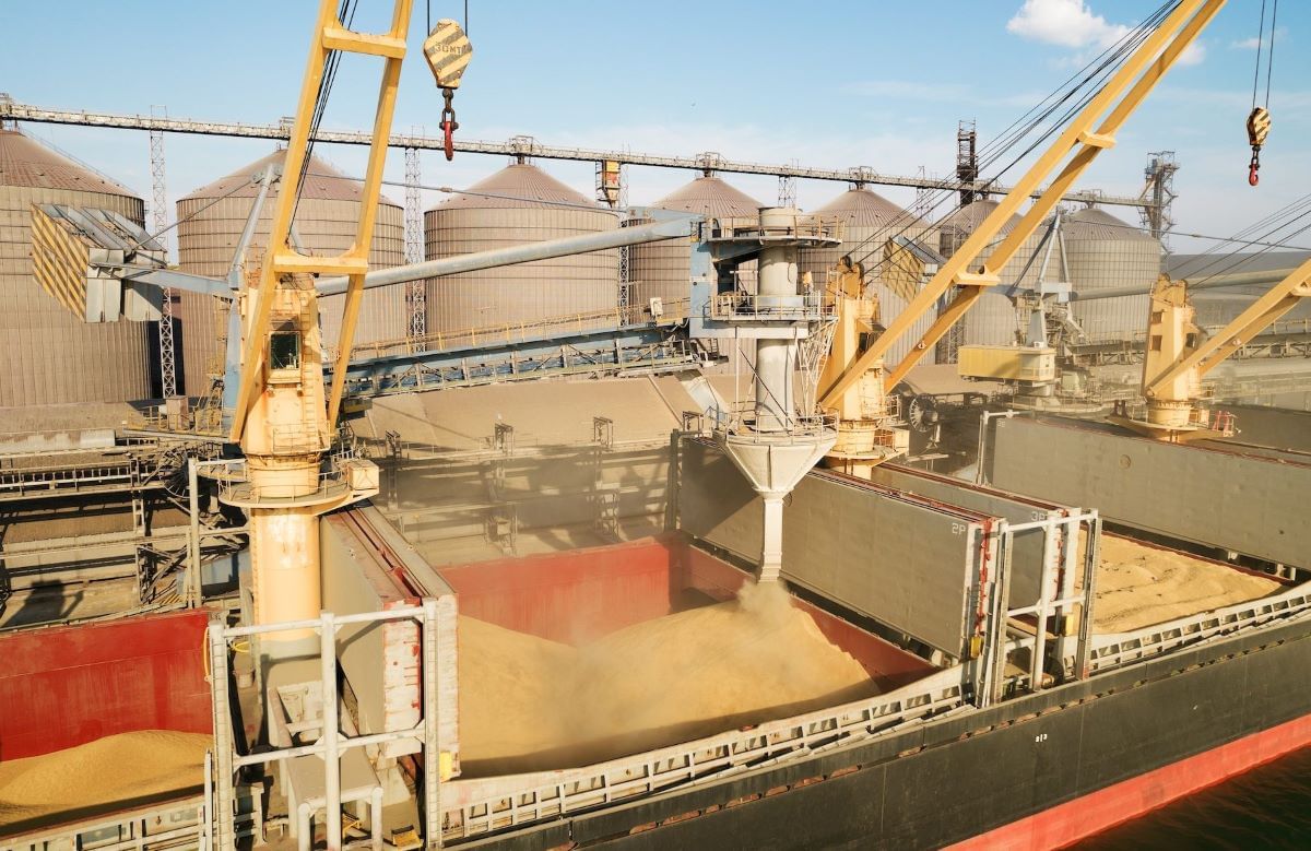 India to Ship 20,000 MT of Wheat to Afghanistan via Chabahar