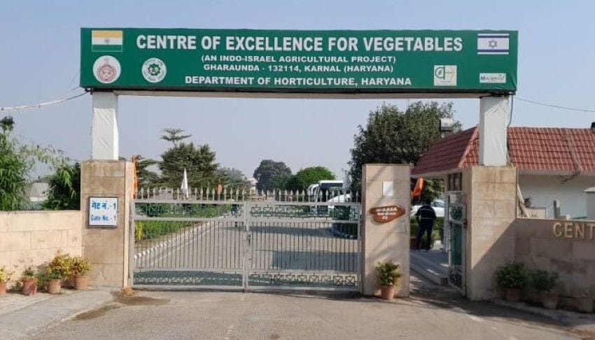 MIDH Approves 3 Centers of Excellence for Horticultural Crops in Odisha ...