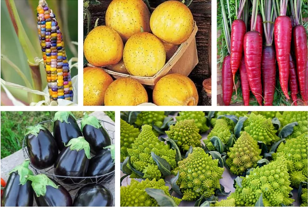 6 Profitable Heirloom and Rare Plant Varieties You Can Grow in Your Garden