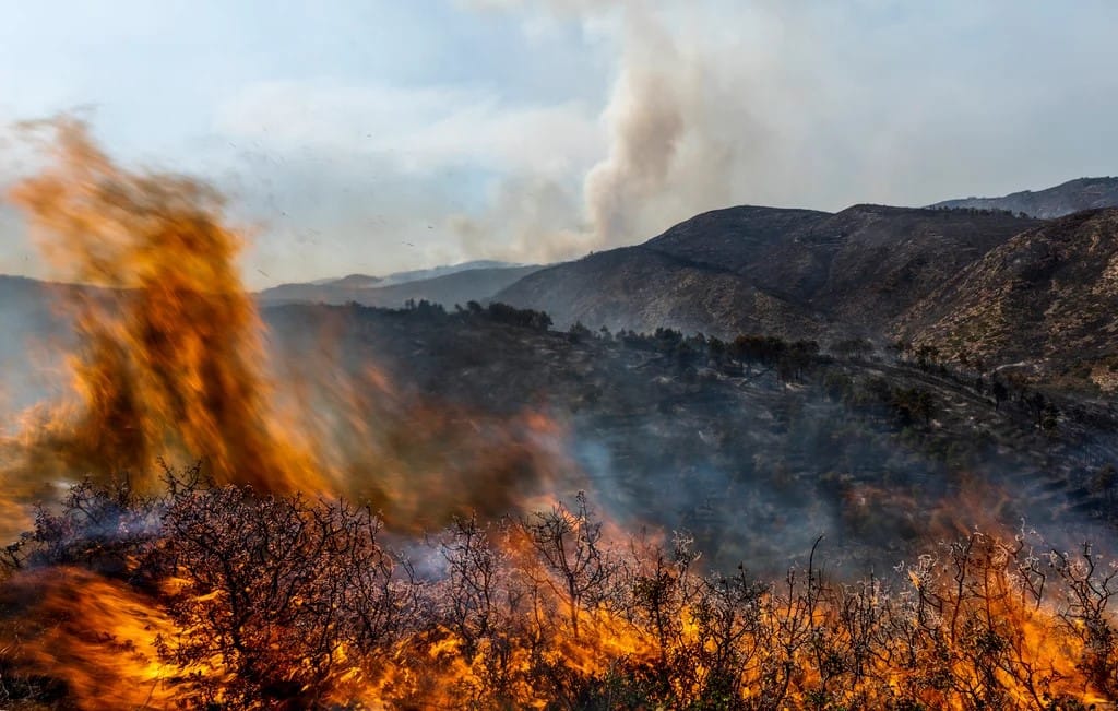 Spain's First Major Fire of Year Destroys 3000 hectares of Forest