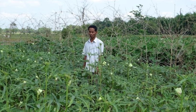 Assam Govt Encourages Agri Scientists to do More Scientific Research in ...