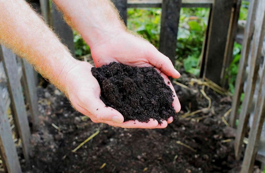 From Waste to Black Gold: Composting Benefits & Tips for Beginners