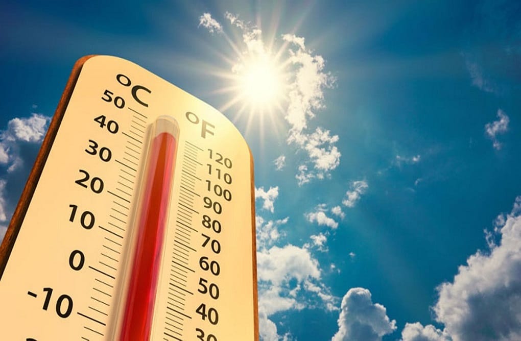Tips on How to Prevent & Manage Heat Stress This Summer