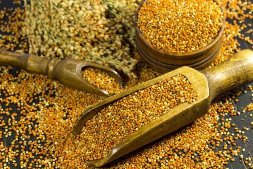Two Day Workshop to Promote Millets Concludes at NIT Sikkim