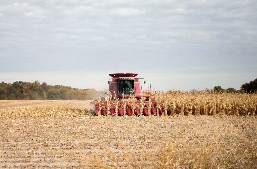 Pakistani Court Halts Punjab Govt's Handover of 45,000 Acres for ...