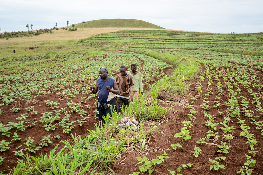 Burundi Praises China's Crucial Role in Boosting Agricultural Development