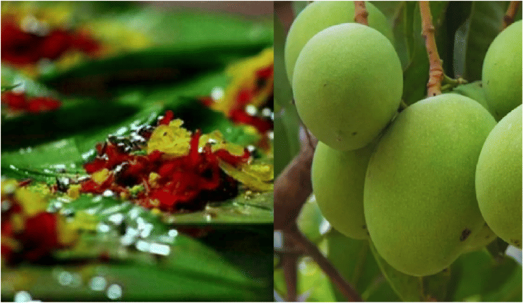 GI Tag Club Welcomes Banarasi Paan & Langda Mango as Latest Entrants