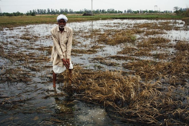 Haryana Govt Announces Recruitment of Assistants to Assess & Evaluate ...