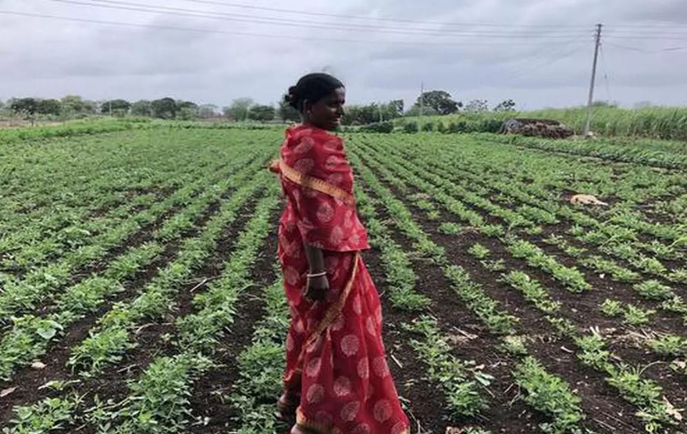 Maharashtra Govt Allocates Rs 21.9 Crore for 14 Agriculture Projects in ...