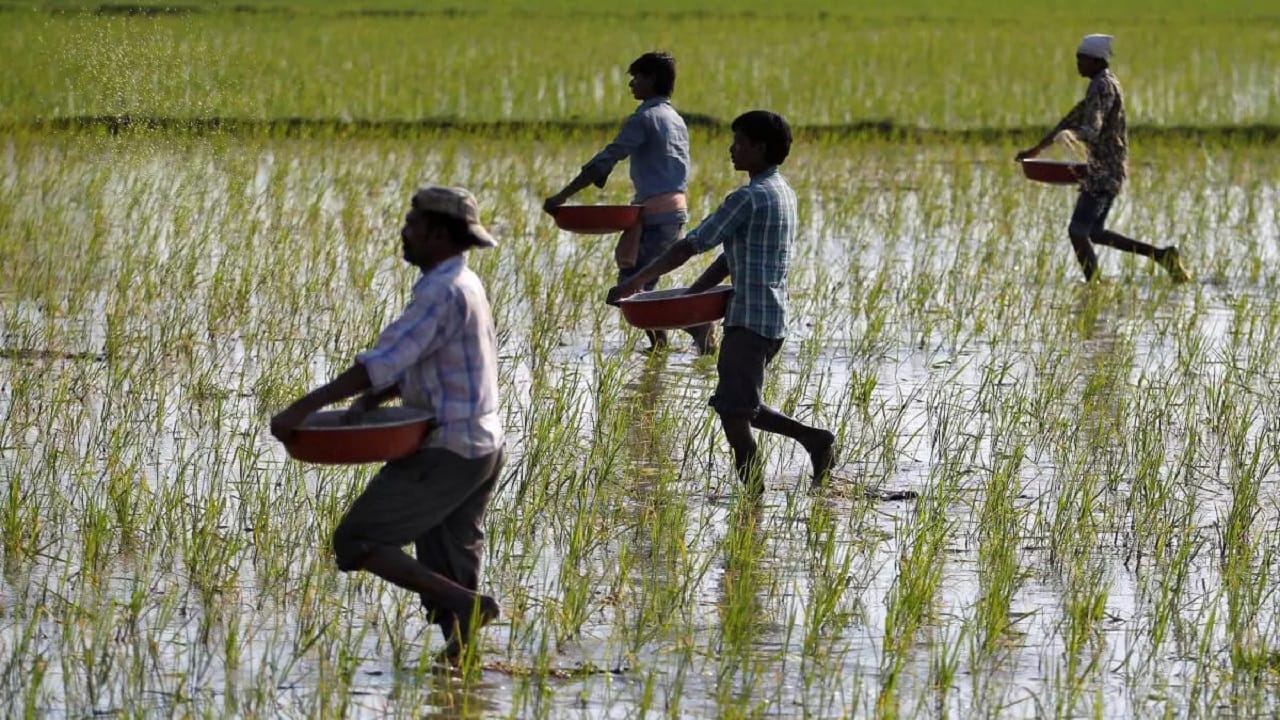 Researchers Develop ‘Farm Distress Index’ to Identify Farmers in Need ...