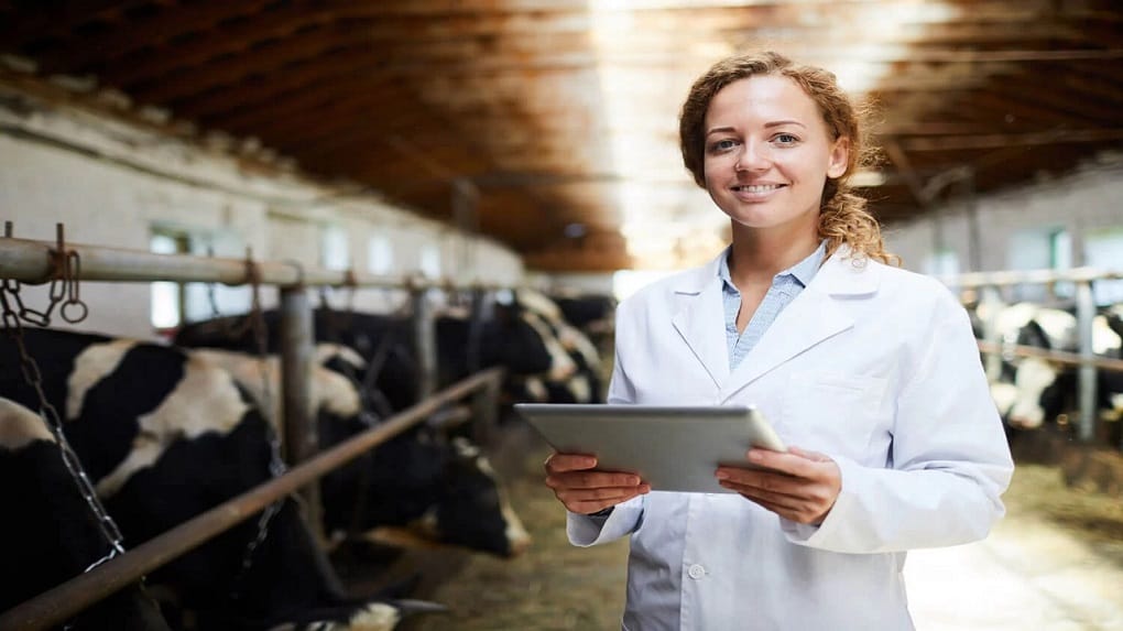 Precision Feeding: Optimizing Animal Nutrition Through Data Analytics ...