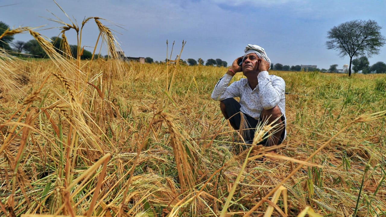 Telangana Should Bring In Its Own Crop Insurance Scheme, Says Experts