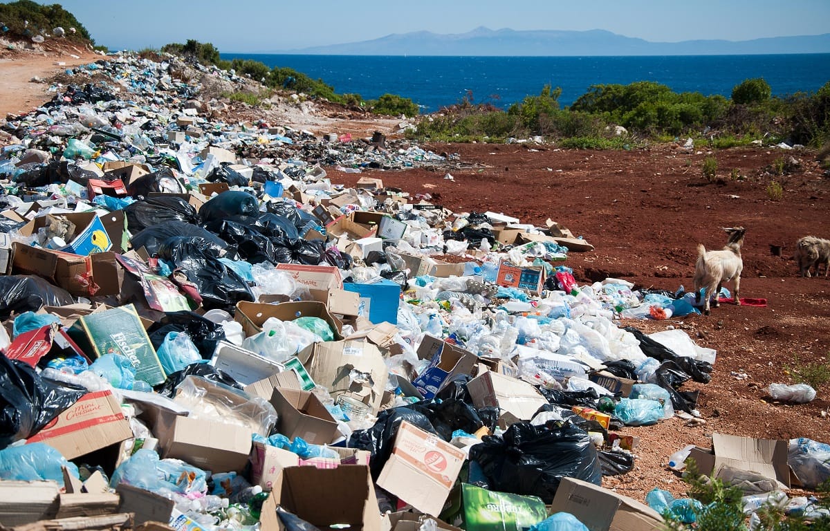 From Farms to Solutions: Tackling Agricultural Waste for a Sustainable ...