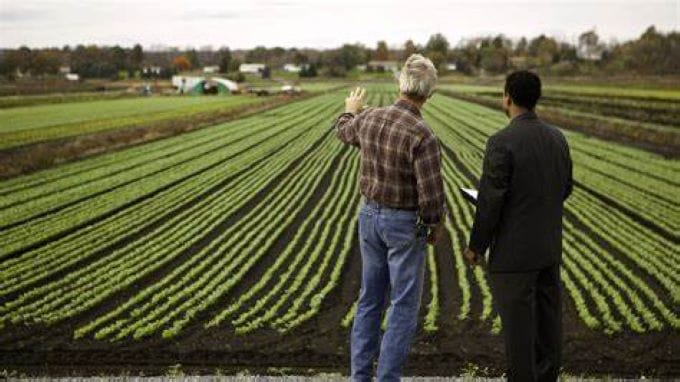 Commercial Agriculture: Exploring the Business of Commercial Farming