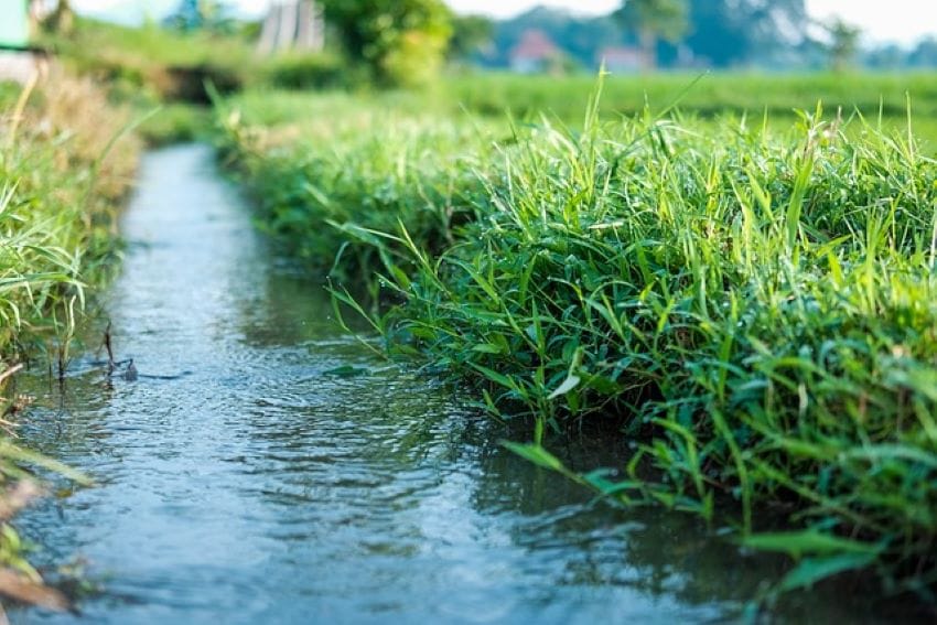 Irrigation Dept Imposes Temporary Ban on Water Lifting for Agricultural Use