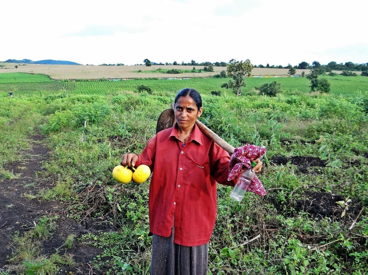 Karnataka Budget 2023: Emphasis on Agricultural Growth and Advancing ...