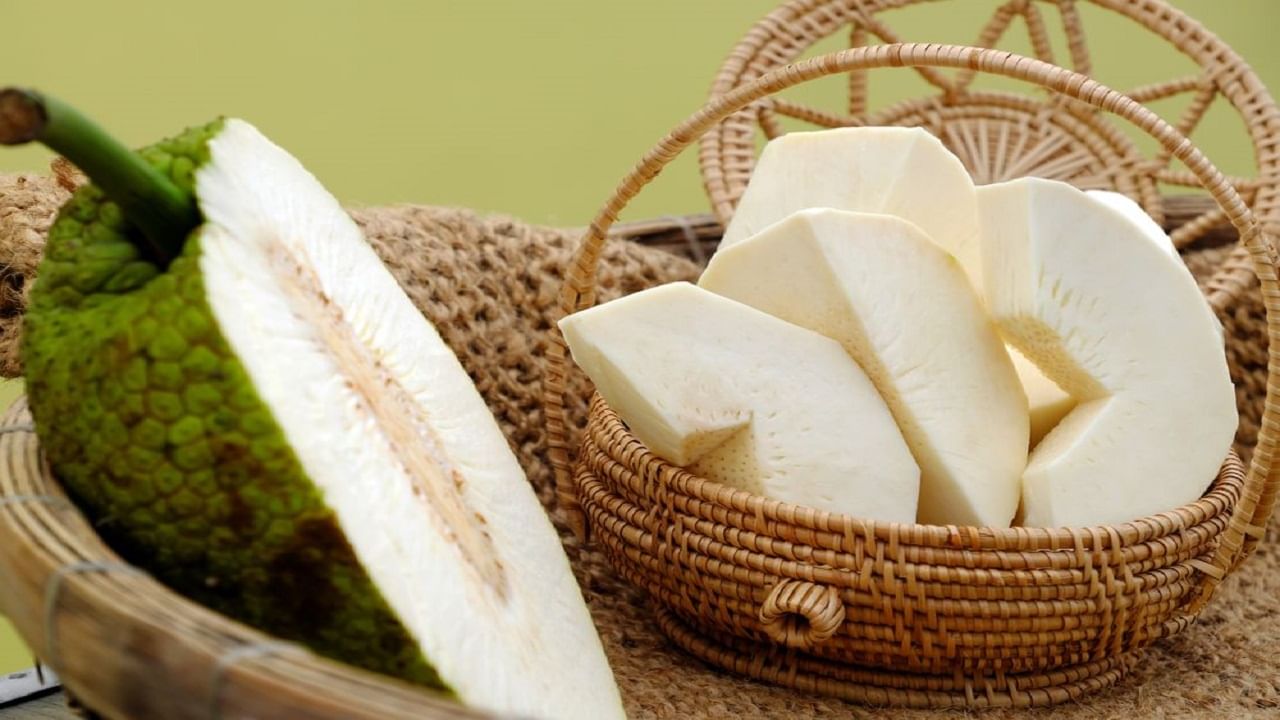 Breadfruit: A Nutrient-Rich Tropical Delight with Diverse Uses, Health ...