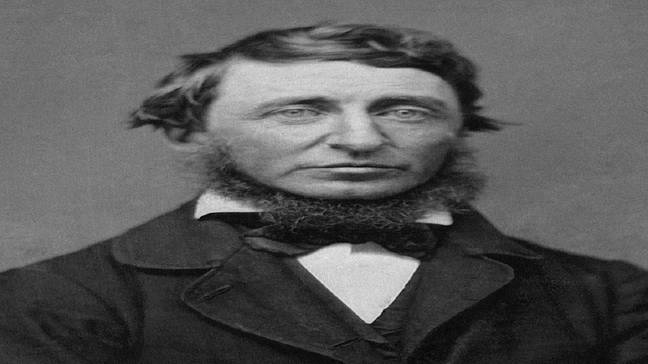 National Simplicity Day: Embracing the Beauty of Simplicity