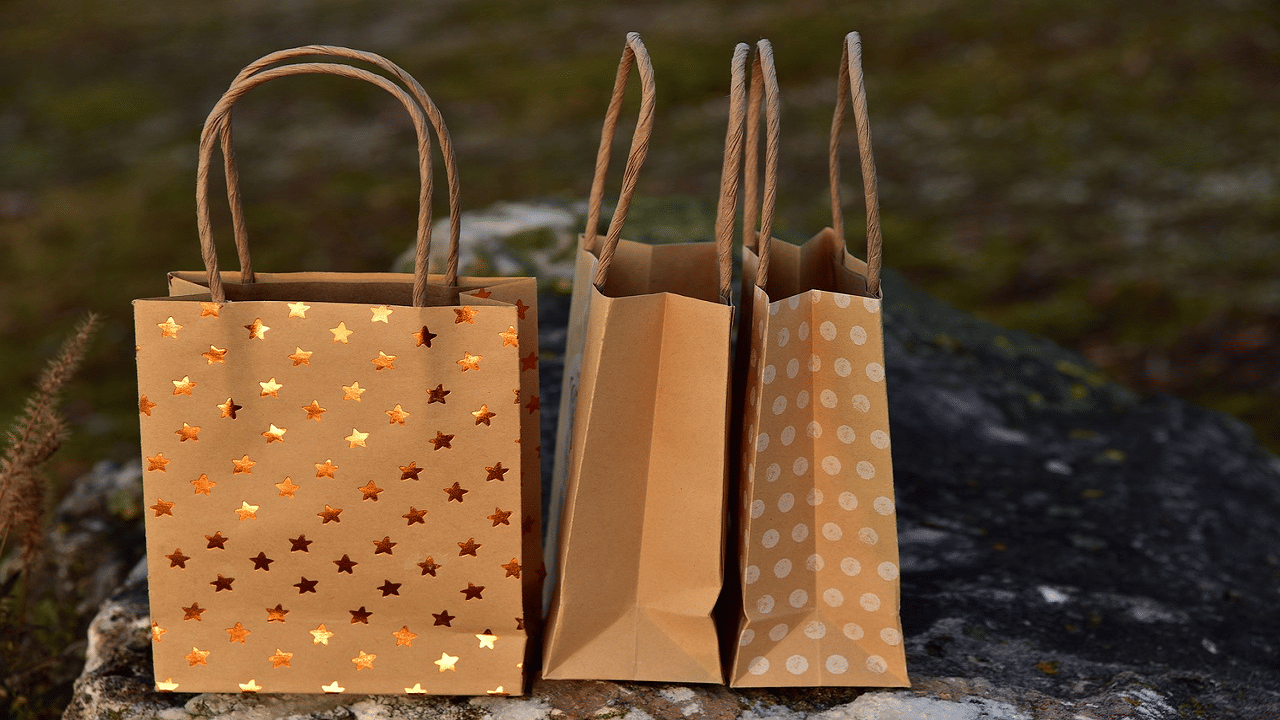 Paper Bag Day: Embracing Eco-Friendliness