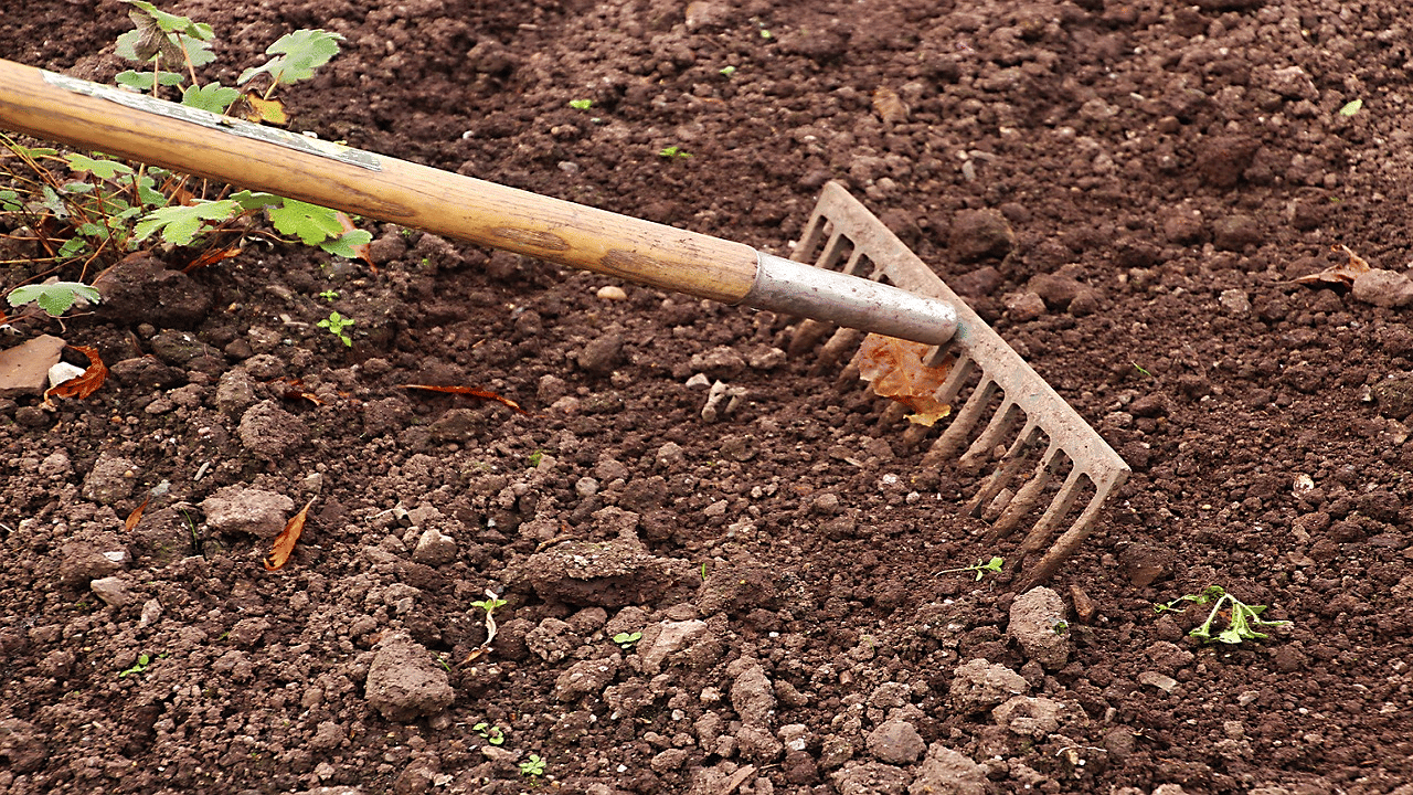 Soil Conservation: Importance, Methods, And Benefits