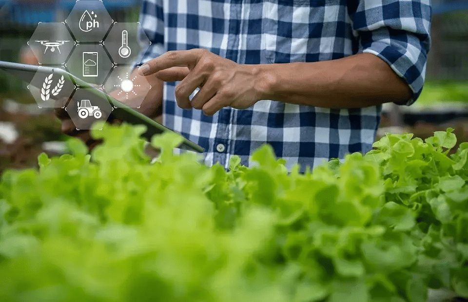 Kerala to Conduct First-Ever Digital Crop Survey to Revolutionize Agri ...