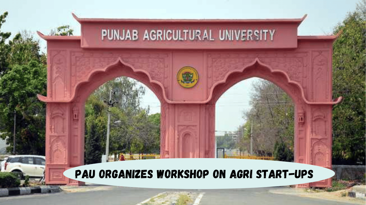 PAU Organizes Workshop on Agri Start-ups