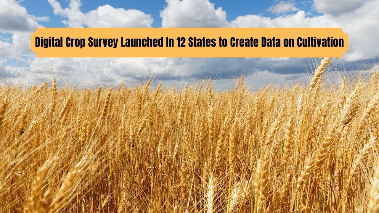 Digital Crop Survey Launched in 12 States to Generate Data on Cultivation