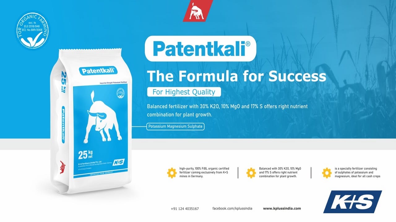 Introducing Patentkali 100 percent Organic Fertilizers - Your Solution ...