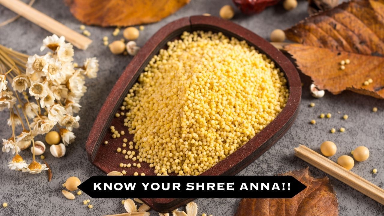 The International Year of Millets: Know How it Casted Light on the ...