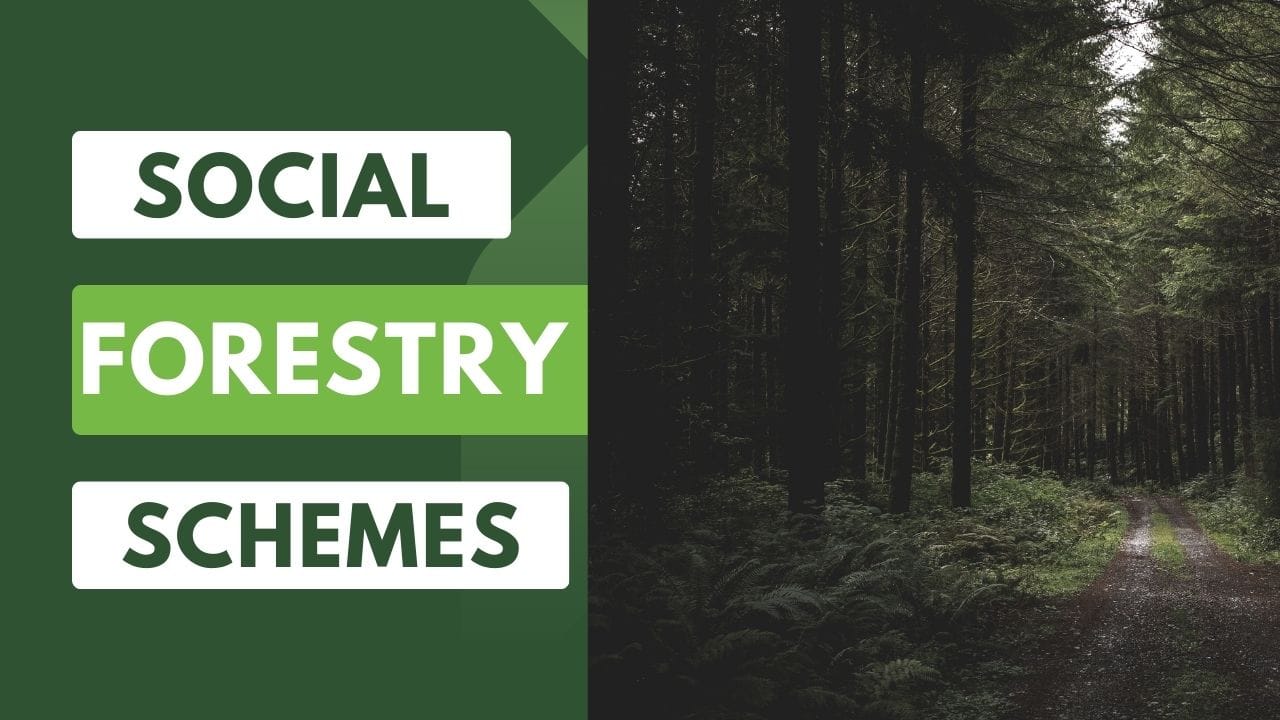 Social Forestry Schemes: Empowering Communities for Sustainable Forest ...
