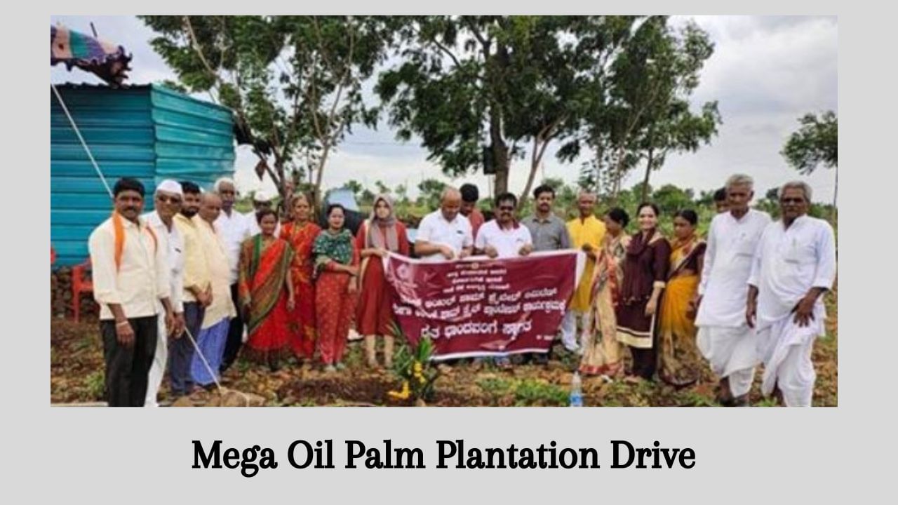 Mega Oil Palm Plantation Drive Organized in 11 States To Help Farmers ...