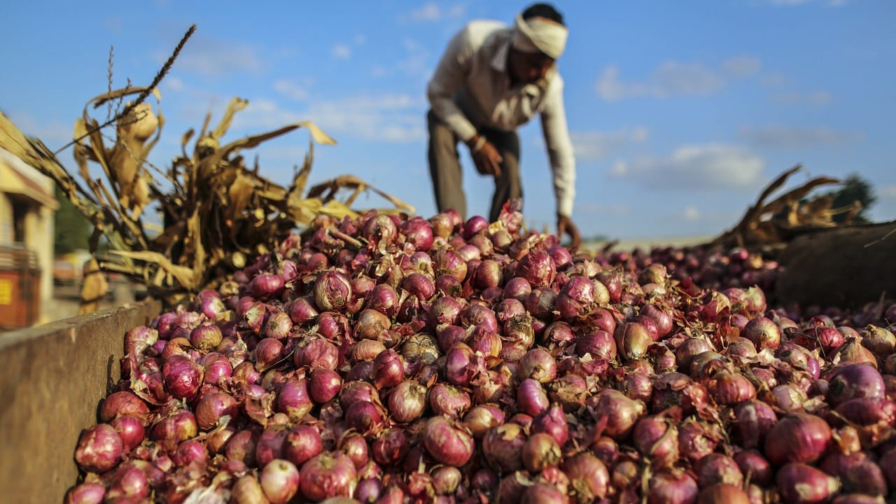 Onion Buffer Capacity Rises from 300,000 MT to 500,000 MT