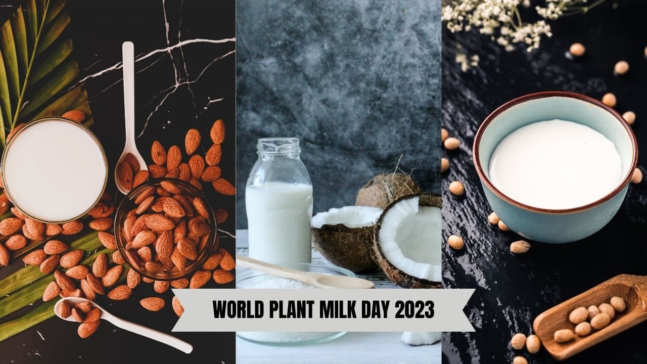 World Plant Milk Day: Plant Milks to Try and its Tradition
