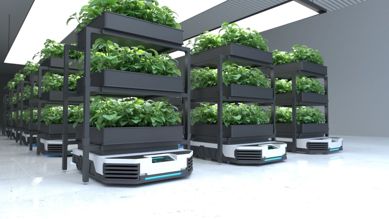 Plants In Space: How And Why Astronauts Grow Plants on the ISS