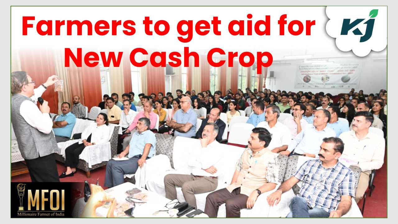 Coffee to Become New Cash Crop in Himachal, Farmers to Recieve Aid: Dr ...