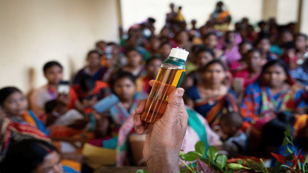 Terviva: Empowering Tribal Farmers and Promoting Sustainable ...