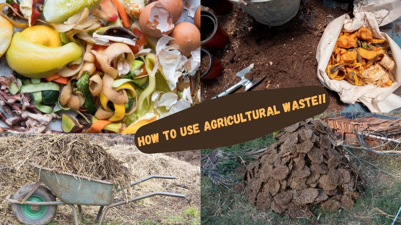 Innovative Agricultural Waste Management Strategies for a Greener India