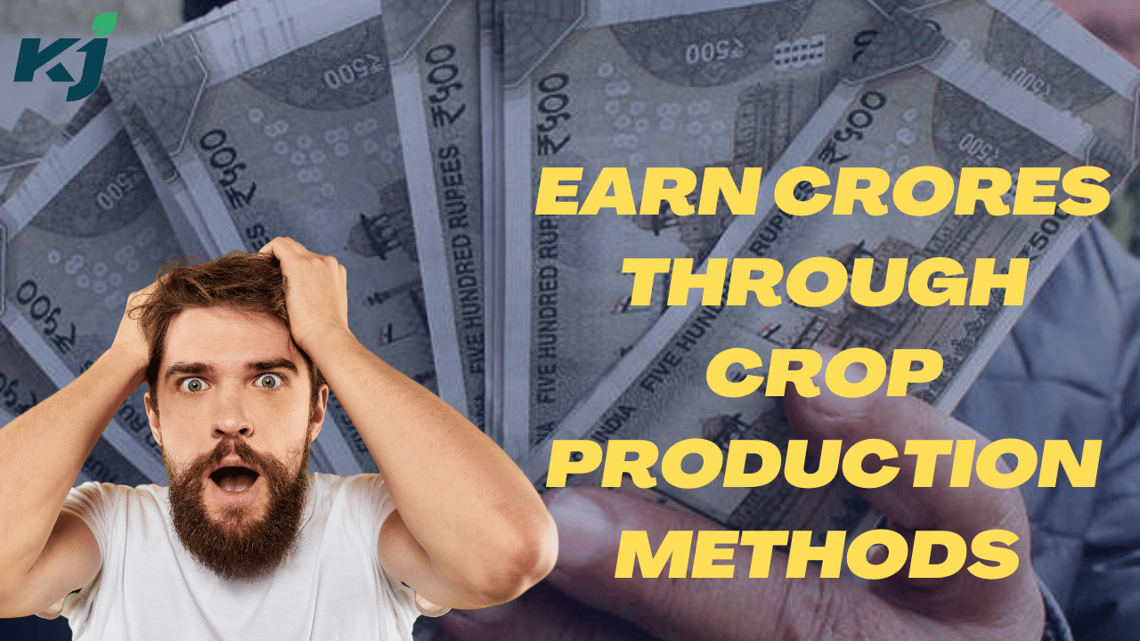 Crop Production Methods, Boost Your Crop Production And Become Crorepati