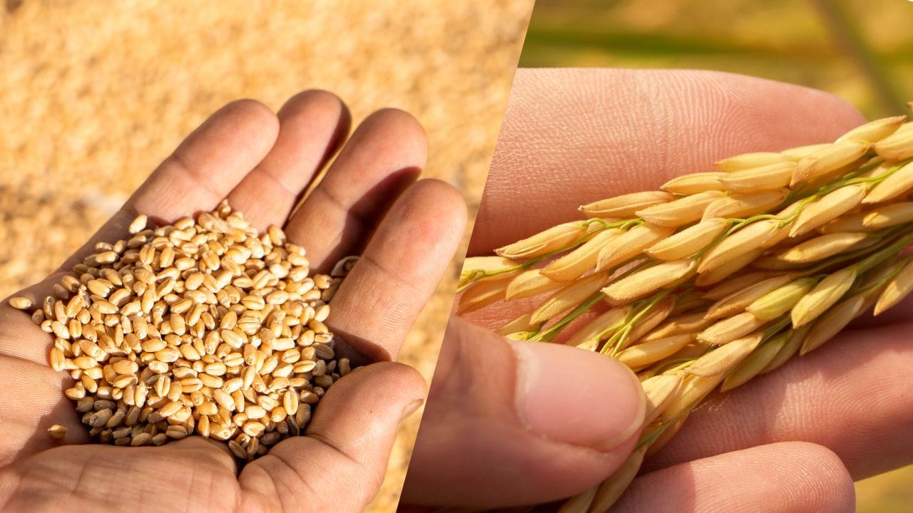 Wheat and Rice E-auction Results in Center Selling 1.66 LMT Wheat and 0 ...