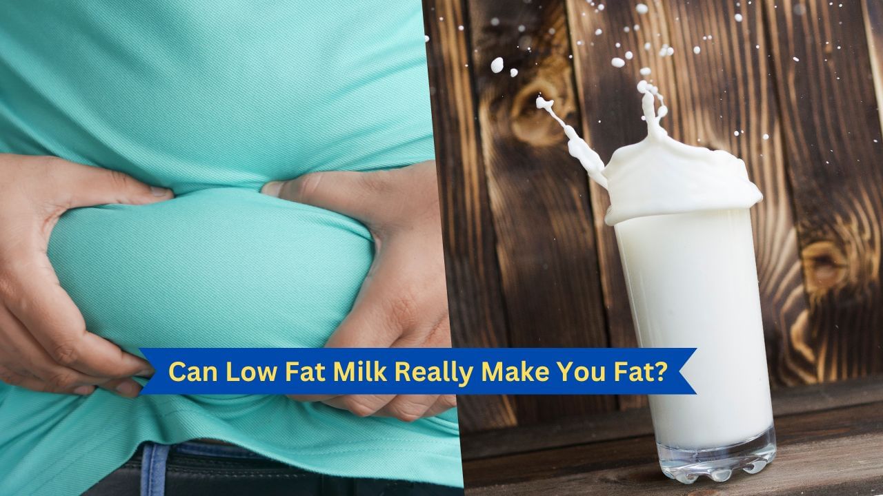 Can Low Fat Milk Make You Fat?