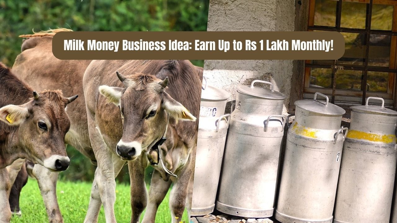 Milk Money Business Idea: Step by Step Guide to Earning Up to Rs 1 Lakh ...